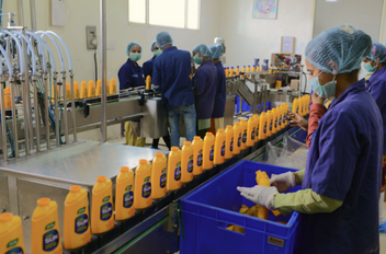 About Us – RSH Global